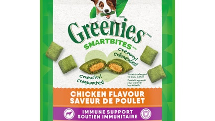 GREENIES for Dogs: Healthy Dog Treats | Greenies Canada